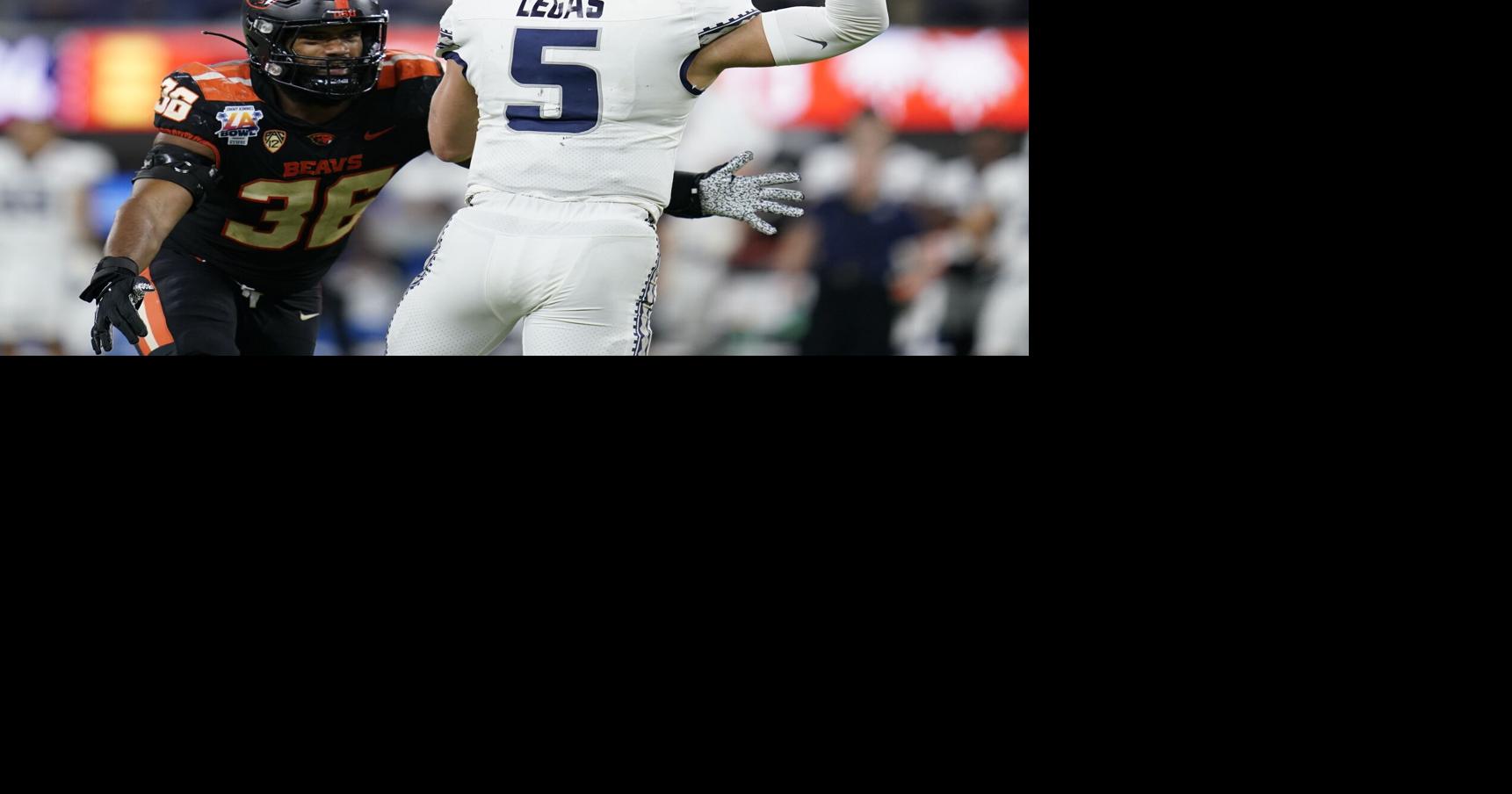 Where LSU's football roster stands after transfer portal | LSU | nola.com