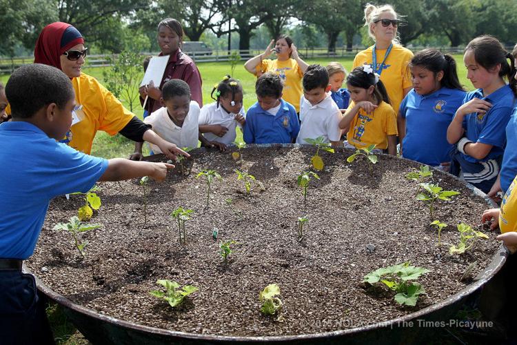 LSU AgCenter hosts AgMagic on the River at Docville Farm | Education ...