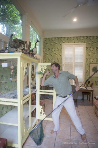 Bohemian rhapsody: Artist Alex Beard fills a Garden District manse with ...