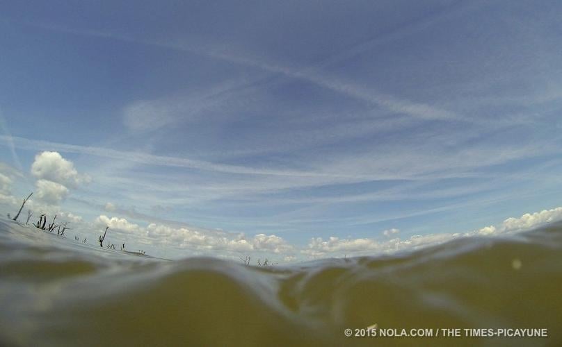 BP oil spill: 5 years later, many environmental effects remain unclear ...