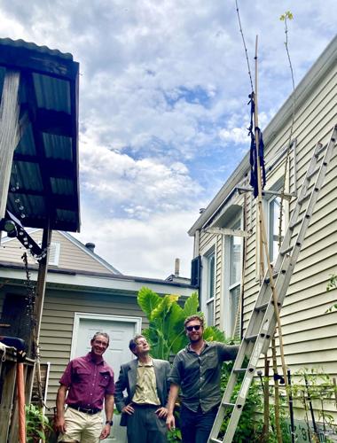 Meet Big Okra: Guinness World Records declares New Orleans man's 16.4 ...