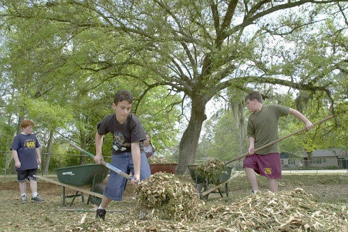 How to protect trees from construction work and heavy equipment damage ...