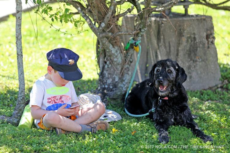 Freret Street Festival 2017: photo gallery | Louisiana Festivals | nola.com