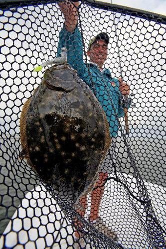 world record flounder