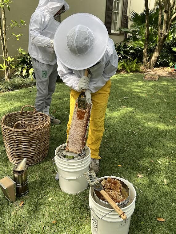 Meet BEE the Change NOLA, Newman's beekeeper clubs | Louisiana Inspired ...
