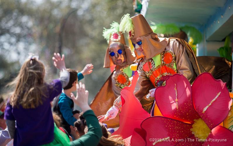 See photos from the 2019 Rex parade | News | nola.com