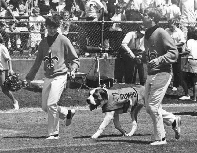 Gumbo rah-rah: How a St. Bernard dog became the New Orleans Saints ...