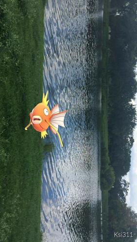 Pokemon Go creatures are popping up all over New Orleans | Arts | nola.com