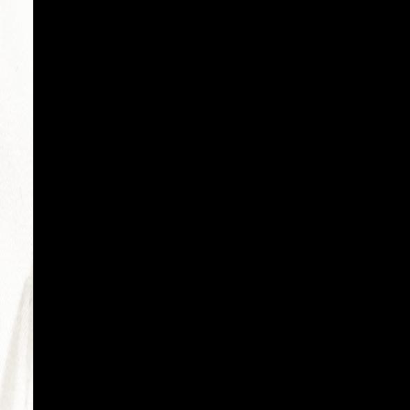 creative cakes mandeville