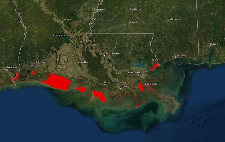 Houma man cited for harvesting polluted oysters in Lafourche Parish ...