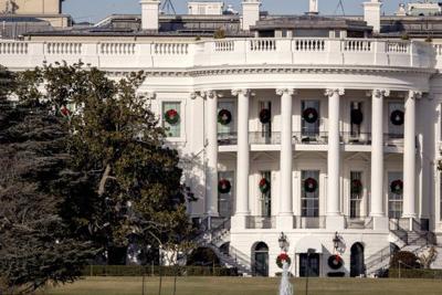Historic White House tree to be cut down this week: report | Nation ...