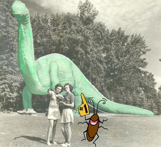 How to properly stomp a cockroach ... or learn to love them | Archive ...