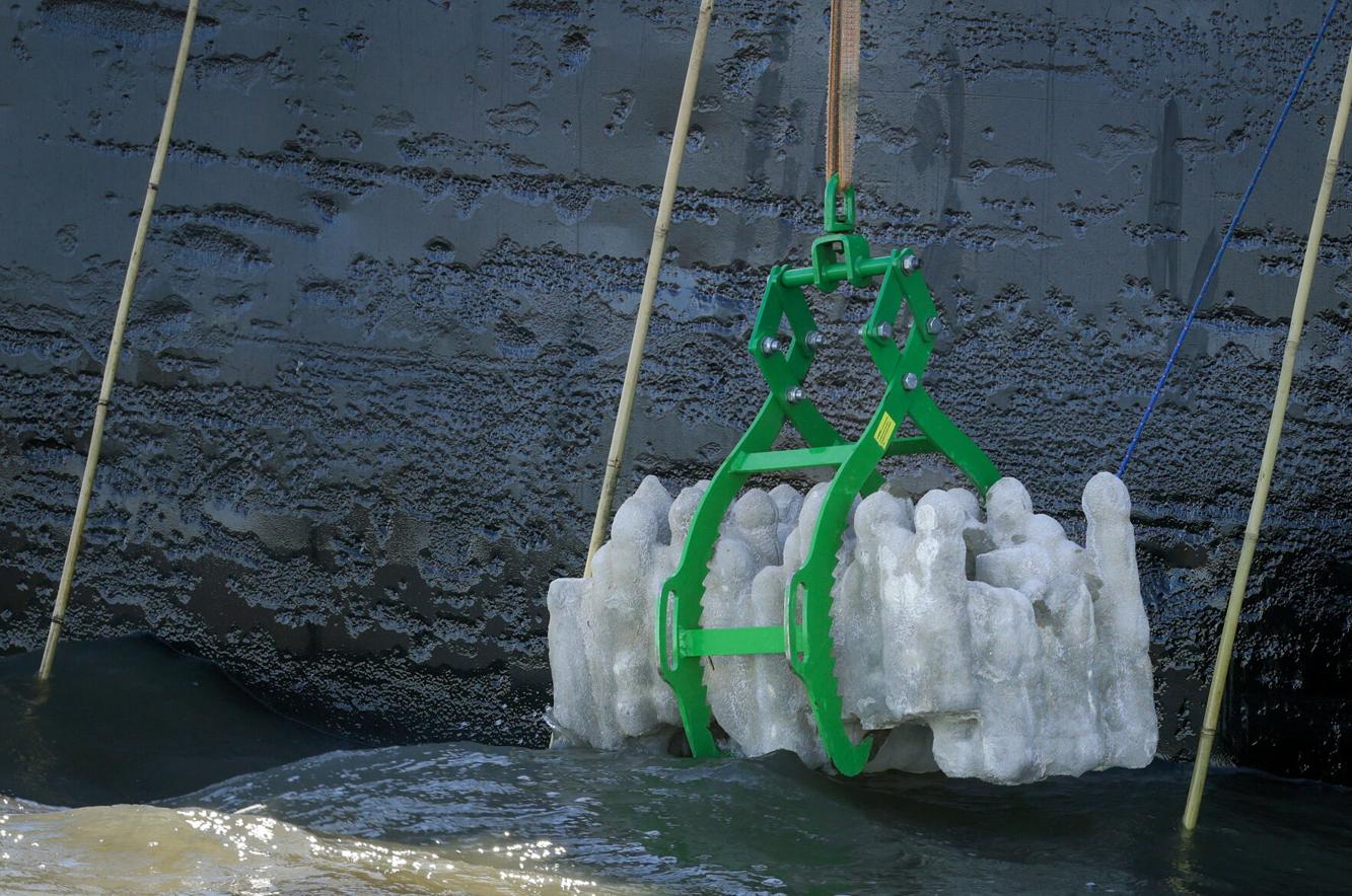 Photos: 3D-printed 'Cajun coral' project aims to boost Louisiana's fish ...