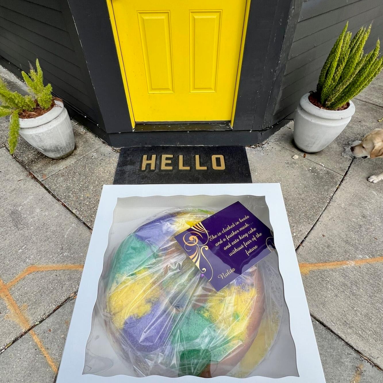 Nolita bakery serves king cake, pastries near Bayou St. John | Where ...