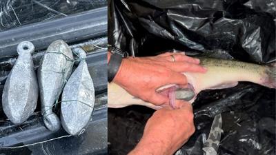 Louisiana man arrested for cheating at fishing tournament | Crime ...