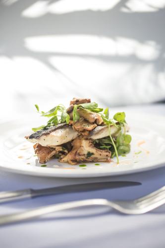 Griddle Seared Gulf Fish at Commander's Palace | | nola.com