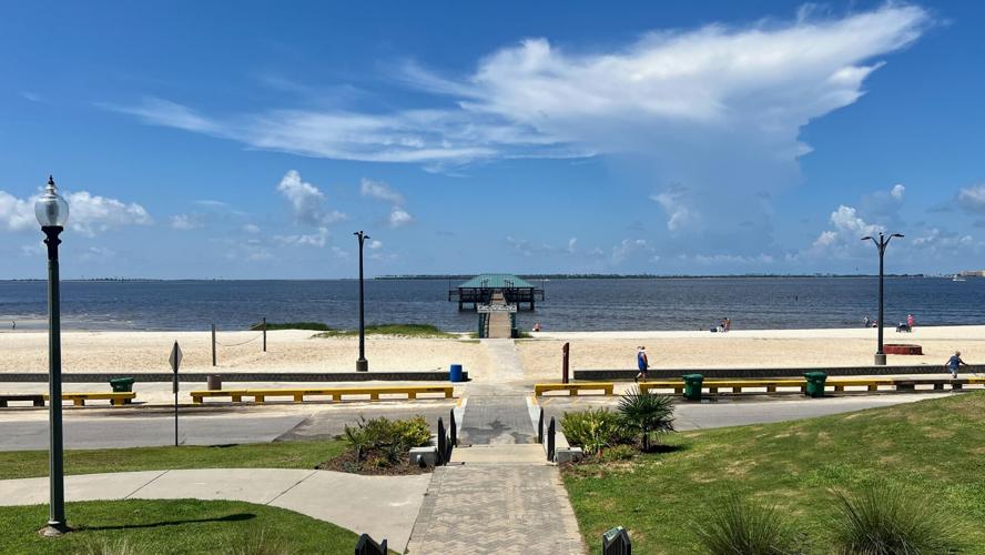 Vestige in Ocean Springs is a Gulf Coast dining destination | Where ...