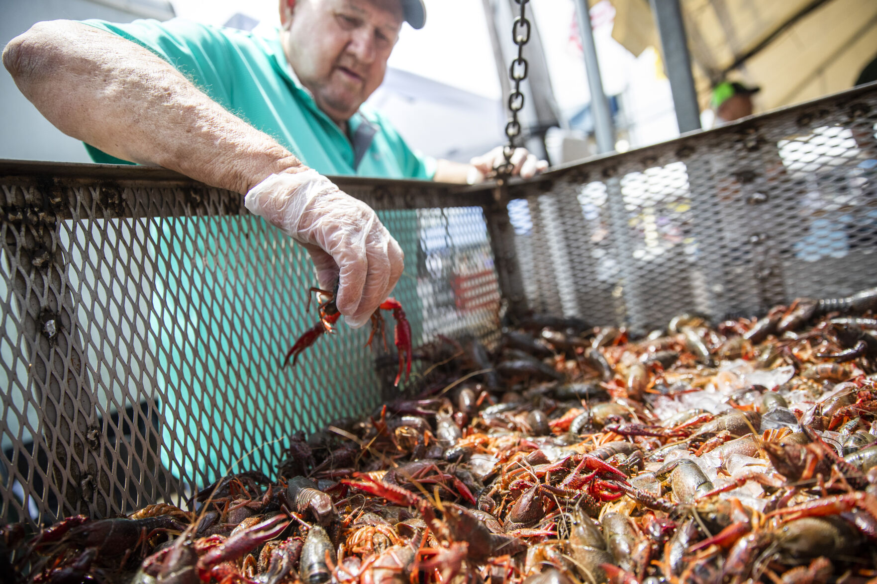 Louisiana crawfish farmers struggle to hire migrant workers | Local ...