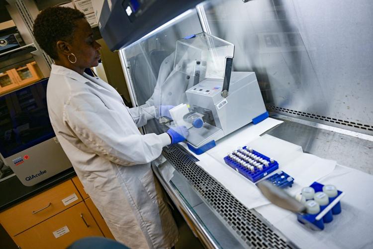Mosquitoes trapped, tested to fight West Nile in Louisiana | News ...