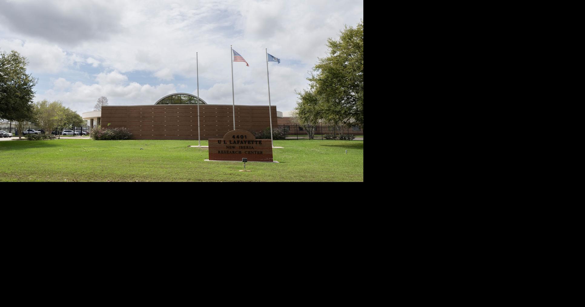 UL should move away from animal testing | Guest Columns | nola.com