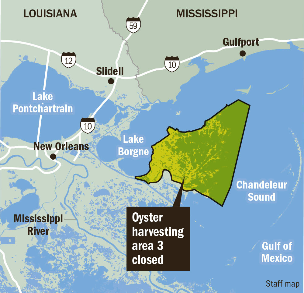 Louisiana reassures Super Bowl tourists after oyster recall | Where ...