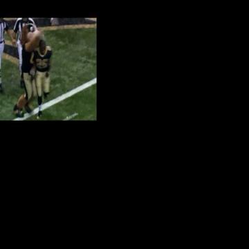 Gumbo rah-rah: How a St. Bernard dog became the New Orleans Saints ...