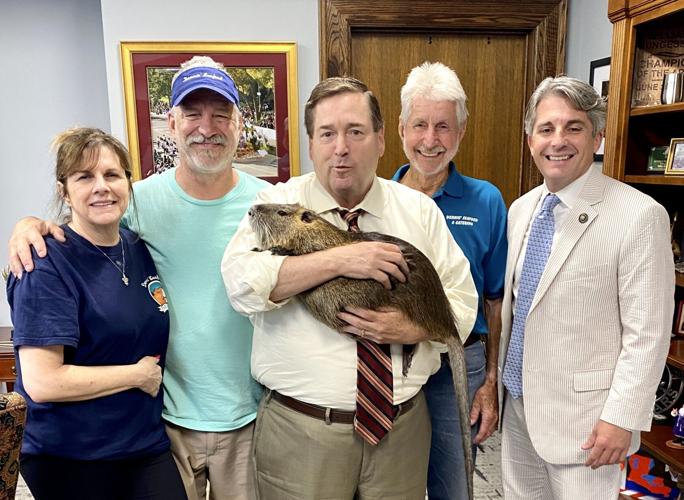 Neuty, the beloved Bucktown nutria rat has died | News | nola.com