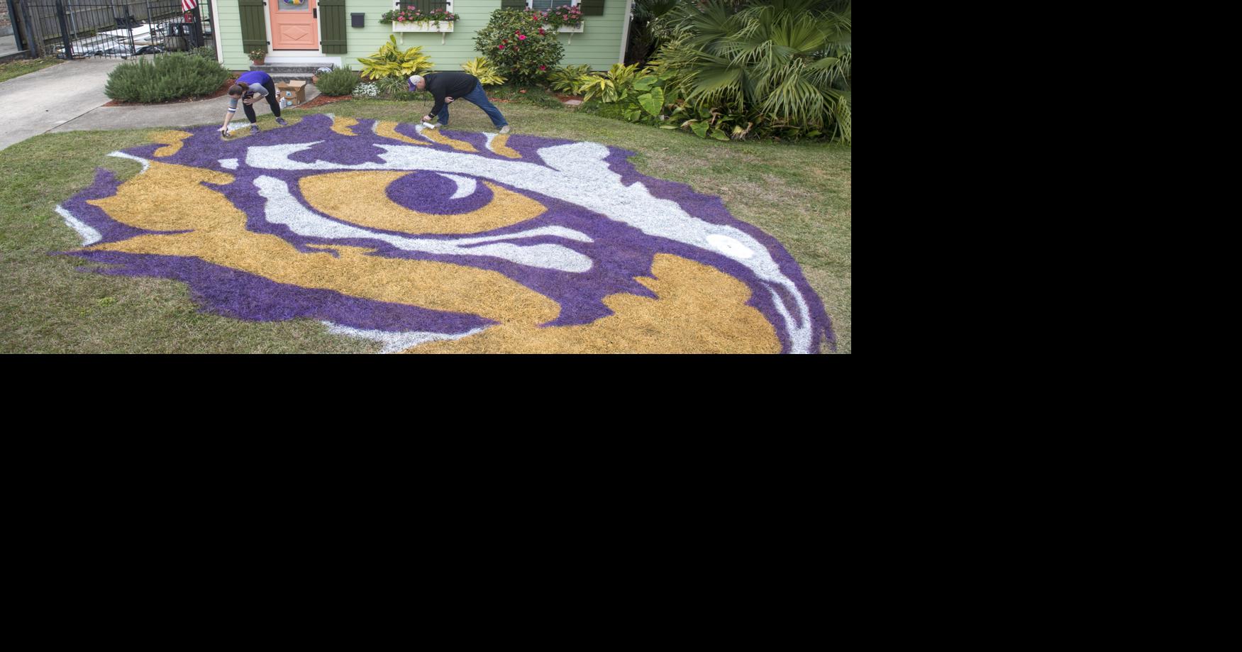 Photos, timelapse: Two true LSU fans paint massive LSU Tiger eye onto ...