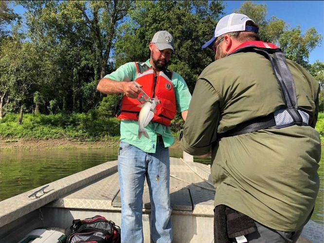 Devil's Swamp Lake, LA Superfund site, nears restoration | Business ...