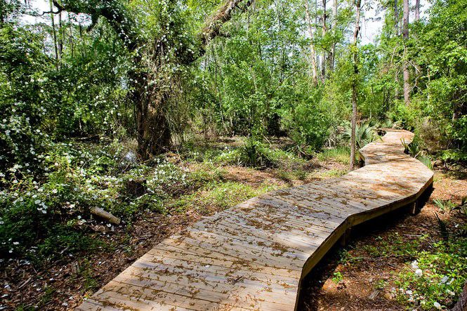 A preview of the refurbished Audubon Louisiana Nature Center | Local ...