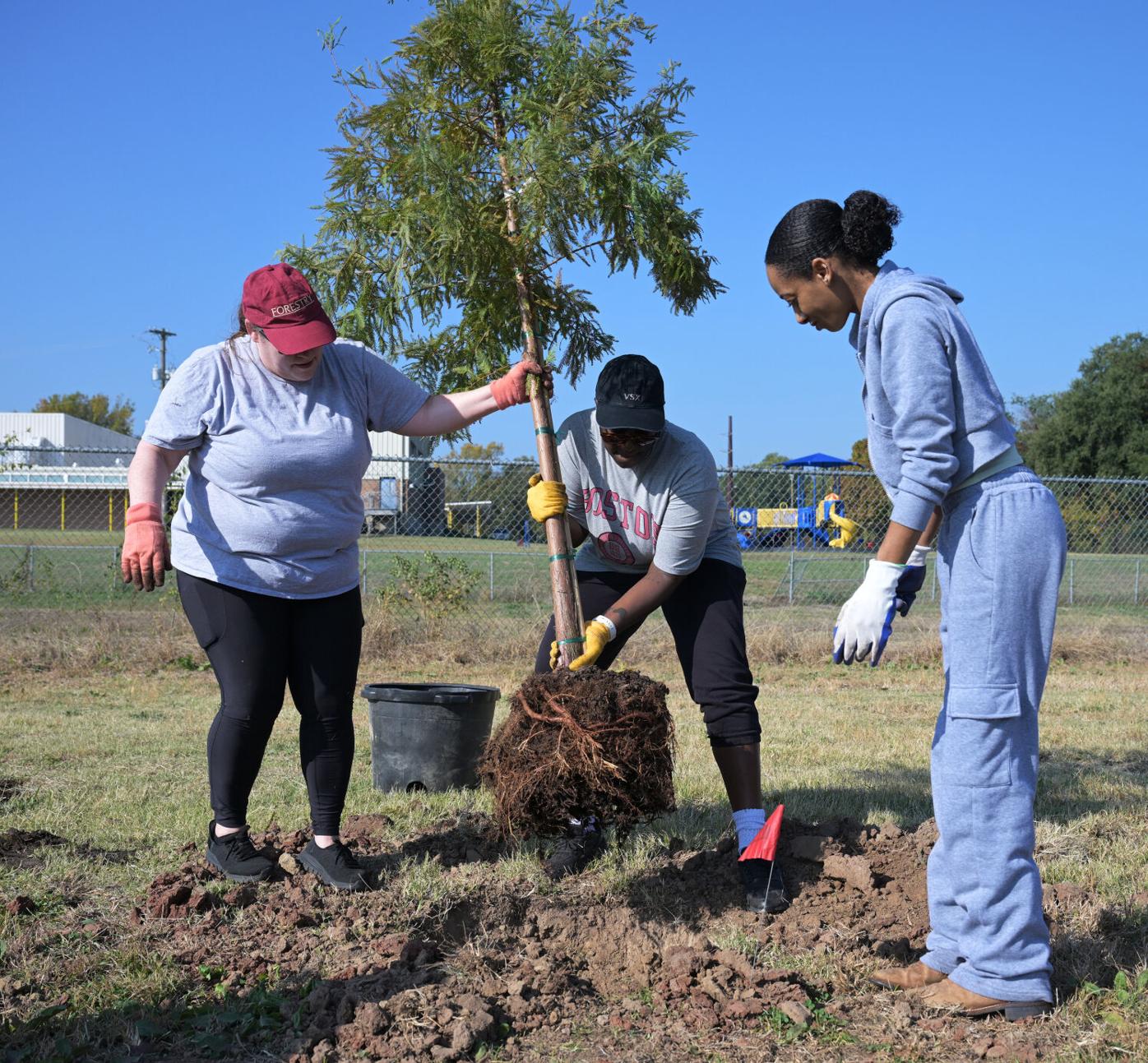 one tree horticulture