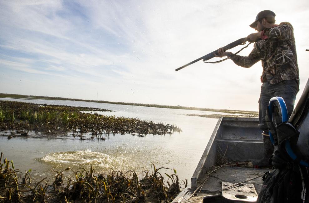 'It was essentially the most enjoyable I've ever had': Revived 'Nutria ...