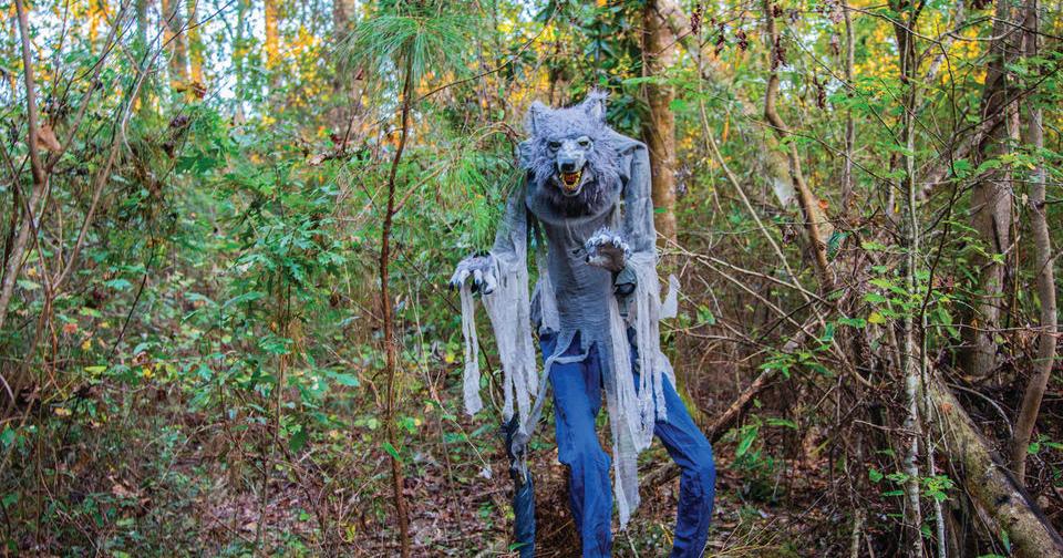 The Rougarou's comin': How tales of the Cajun folklore creature have ...