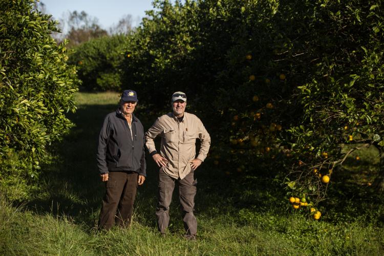 Ben Becnel's to close Belle Chasse farm stand | Where NOLA Eats | nola.com