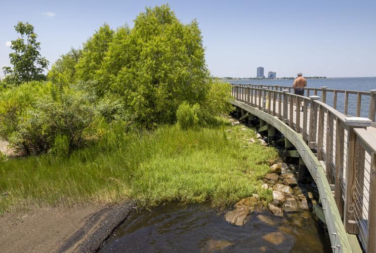 Bucktown living shoreline expected to break ground in July | Jefferson ...
