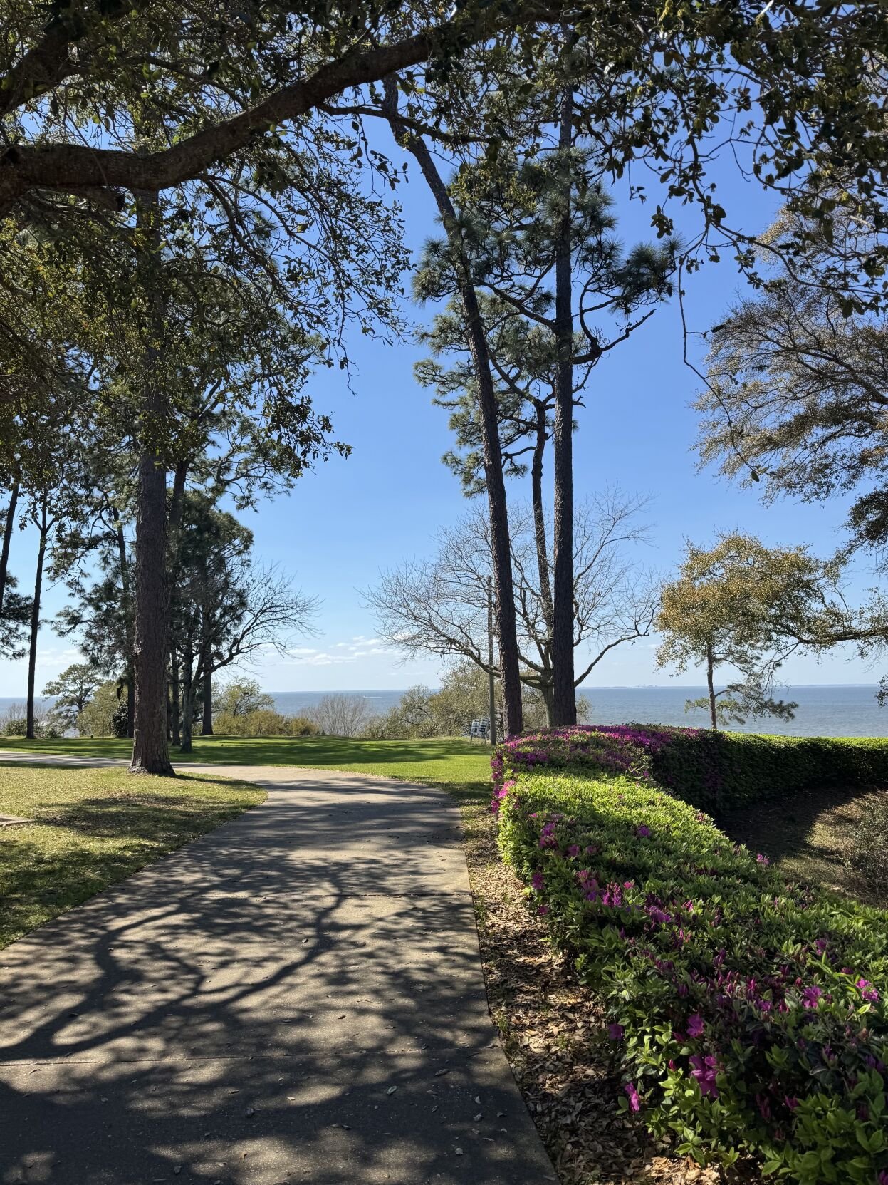 What to eat, drink and do in Fairhope, Alabama | Entertainment/Life ...