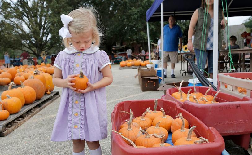 Pumpkin patches to visit in and around New Orleans | Archive | nola.com