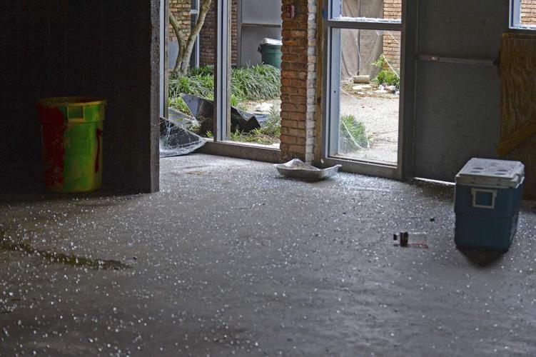 Photos, video show smashed windows, scattered furniture at Acacia frat ...