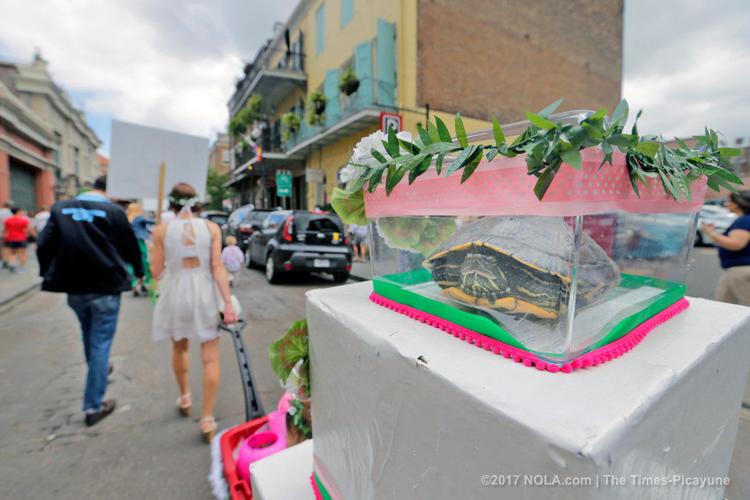 Brennan's 2017 Krewe of Turtles parade crawls through Vieux Carre ...