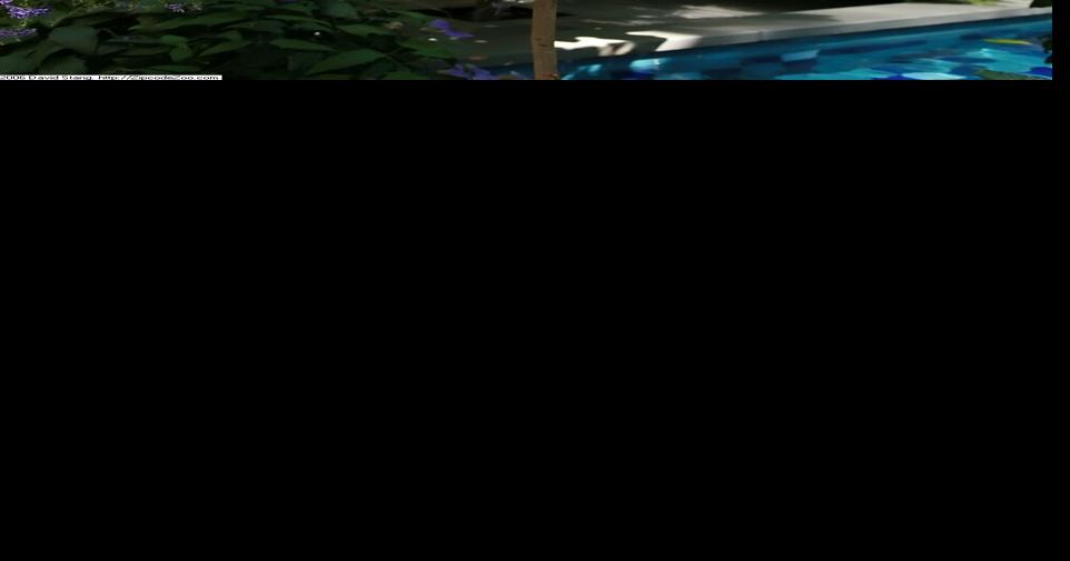 Small duranta tree can be pruned now or in the spring | Home/Garden ...