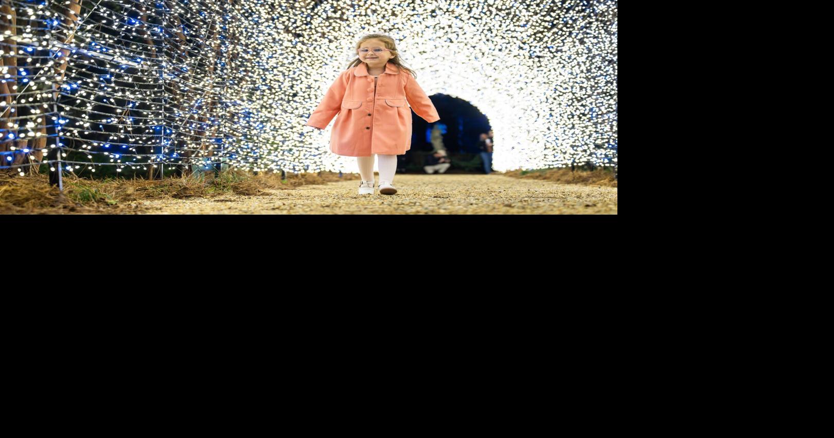 Louisiana Lights at Windrush Gardens transform the landscape ...