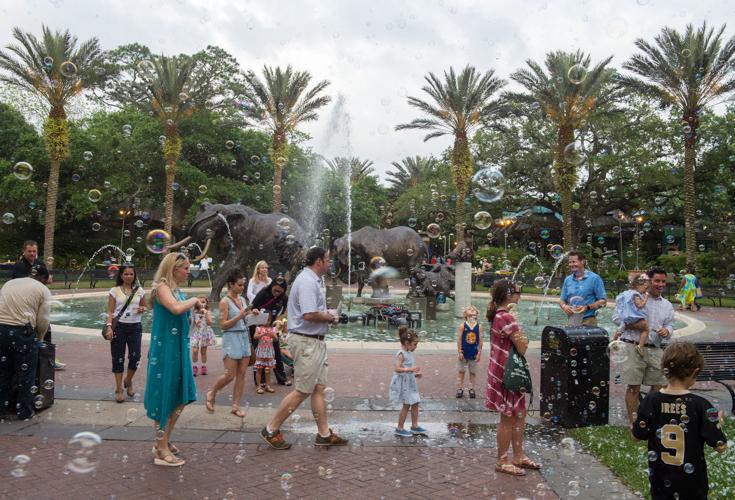 Photos: New wildlife statues make a splash at Audubon Zoo's watering ...