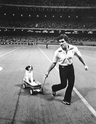 Gumbo rah-rah: How a St. Bernard dog became the New Orleans Saints ...