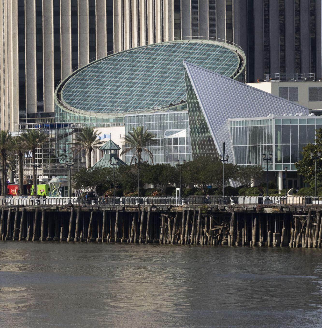 Audubon Aquarium and Insectarium opens after renovation | Photos | nola.com