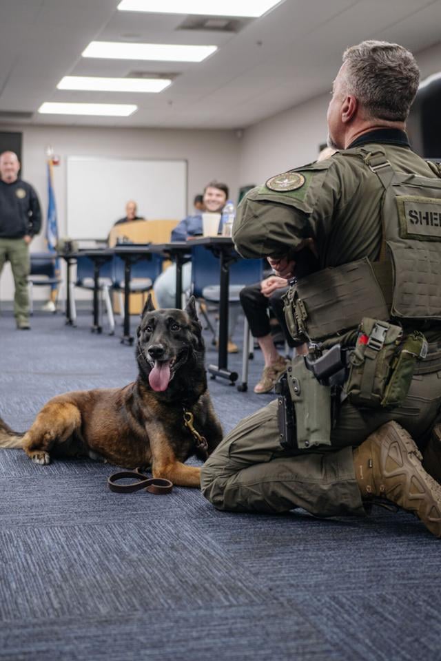 JPSO K-9 dies after collapsing during Harvey SWAT roll | Crime/Police ...