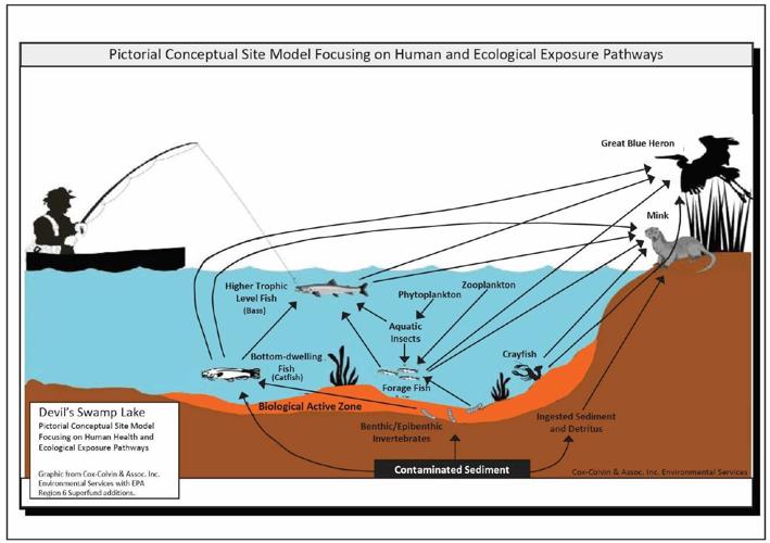 Pollution concerns about this Louisiana swamp were raised decades ago ...