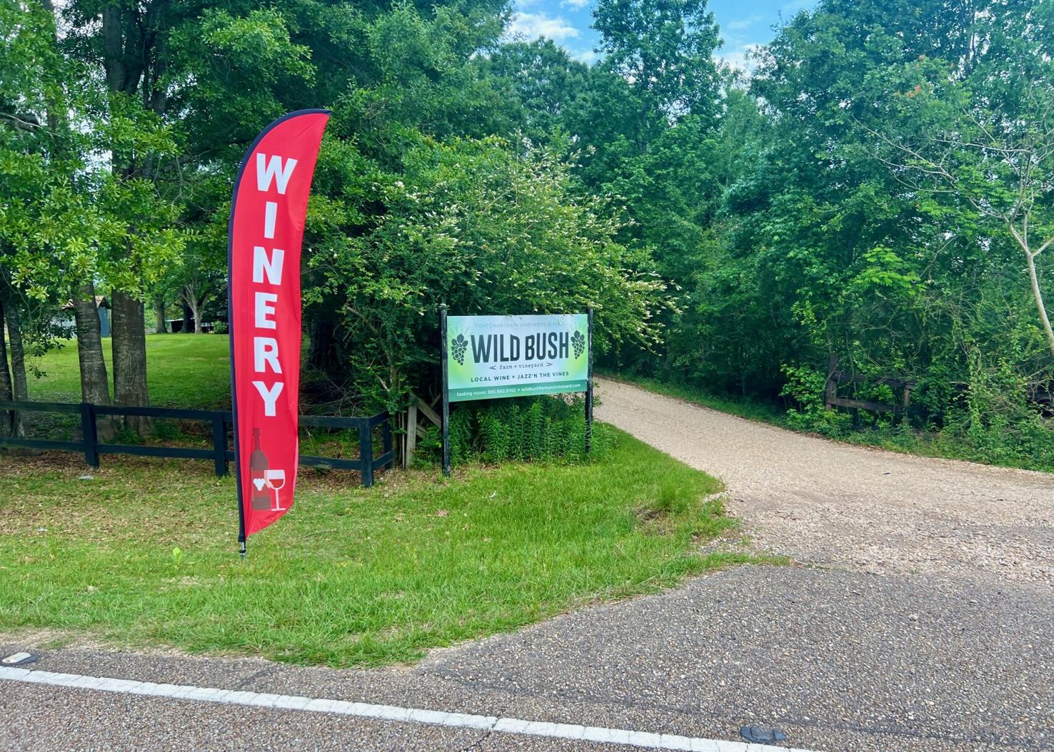 Wild Bush vineyard out to change what Louisiana wine can be | Where ...