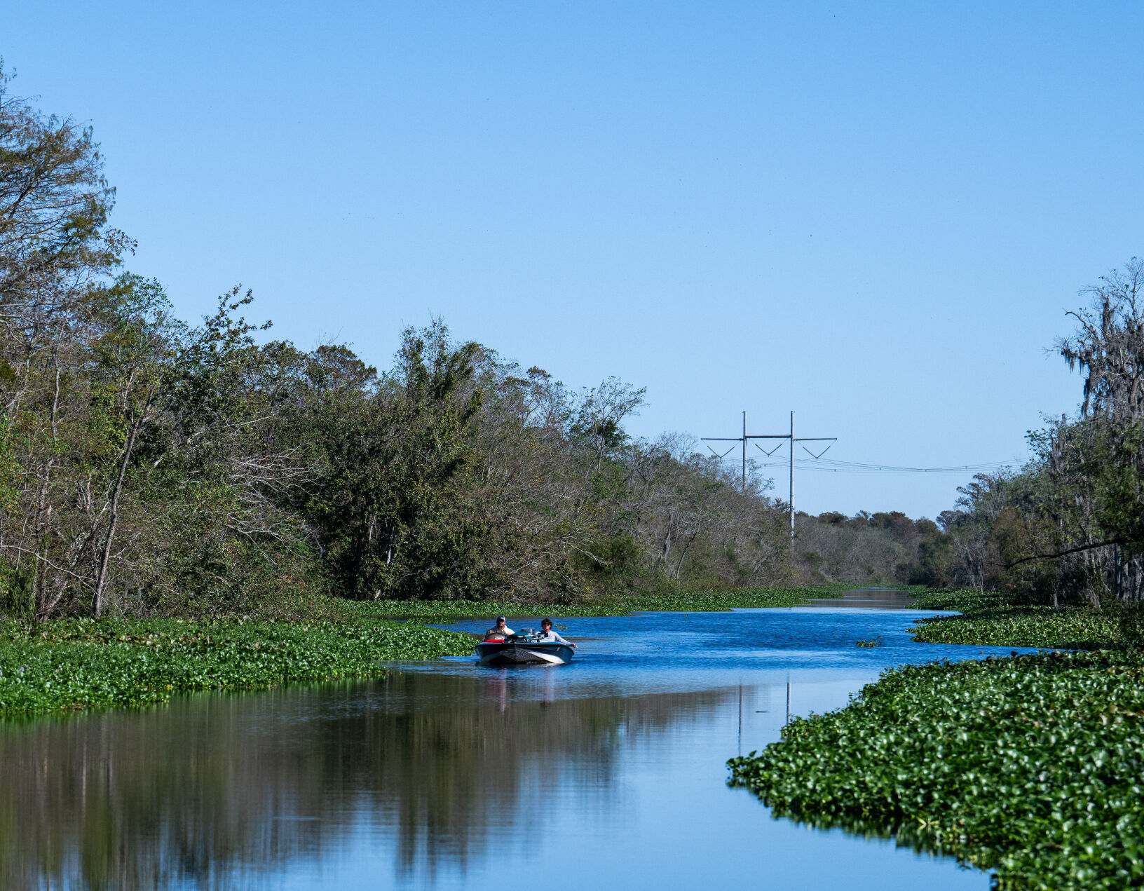 Dying Louisiana swamp to be revived with unique project | Environment | nola.com