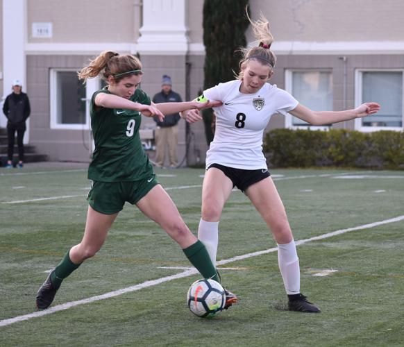 Girls soccer: Lakeshore, Newman pick up takeaways in 1-1 draw | Prep ...