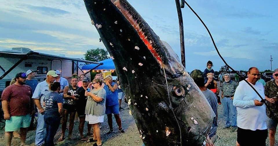 Cory Holcombe hooks 135-pound gar, wins 46th Annual Madisonville Gar ...